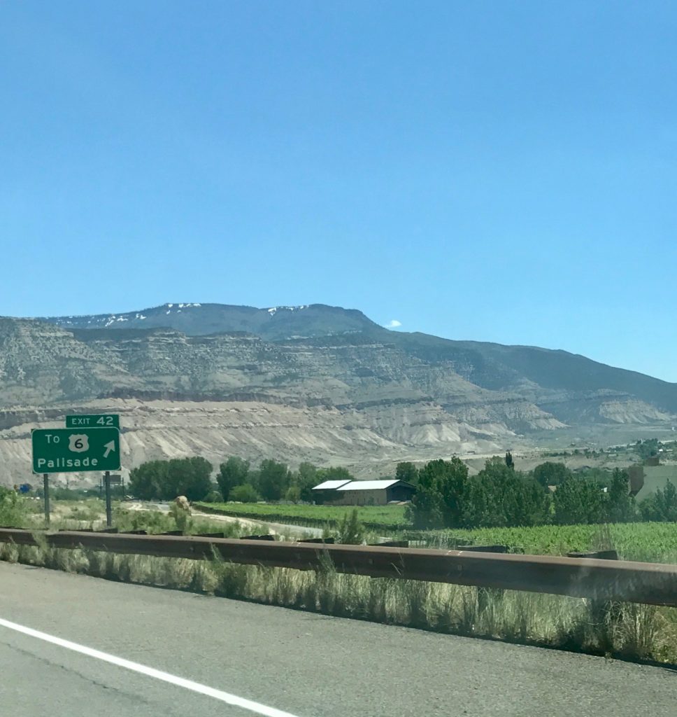 In Praise of Palisade and Colorado Peaches | Bonjour Colorado